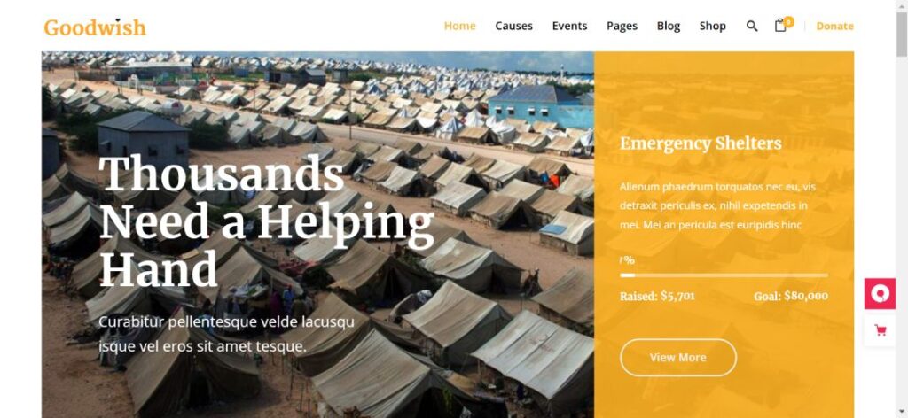 NGO Website Development, SEO, Social Media & Digital Marketing Services ...